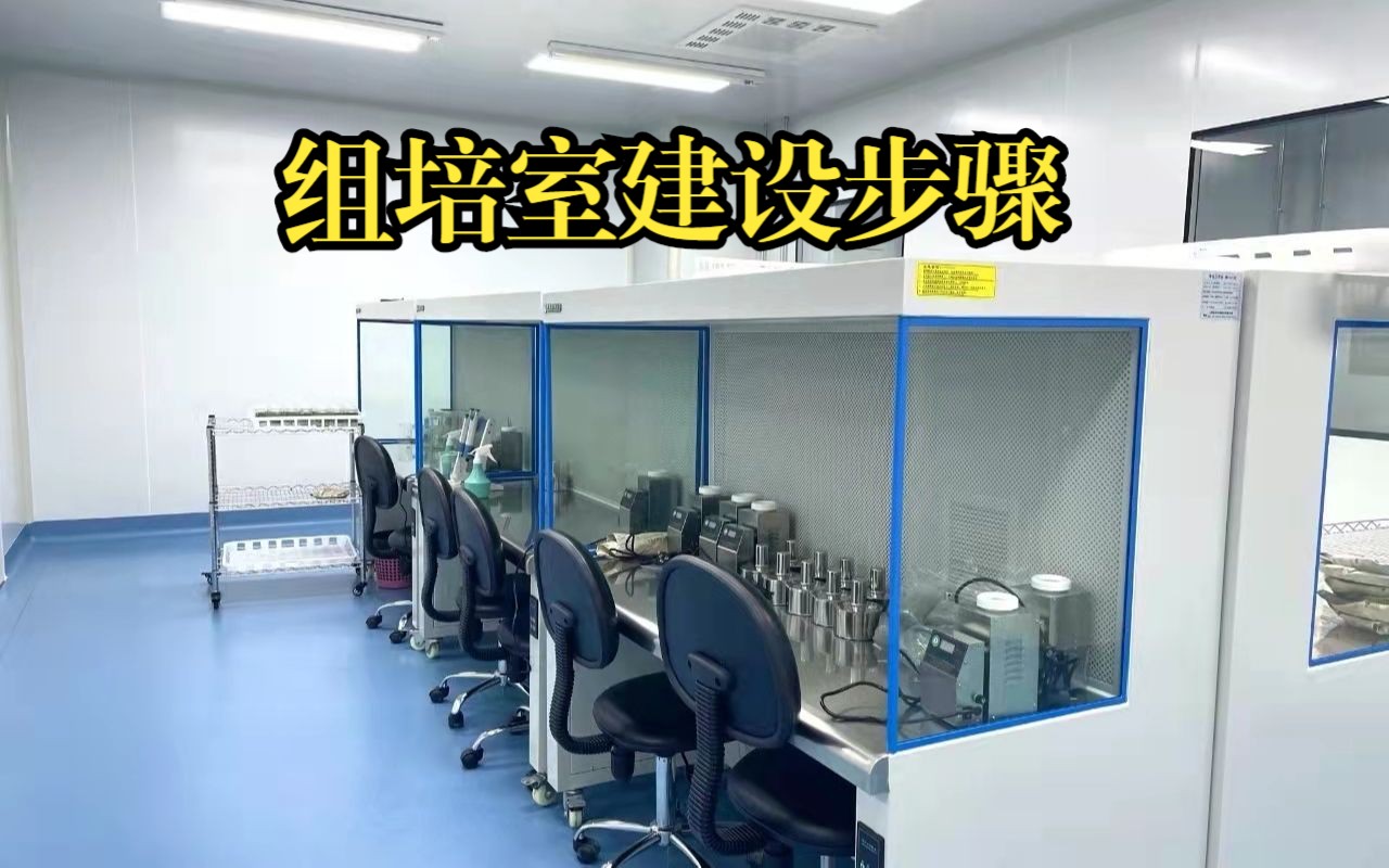 组培车间,组培公司 ,组培室设计建设,万级净化组培室,无菌实验室,组培...