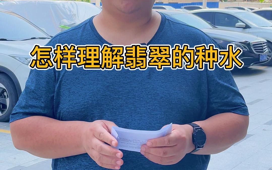 翡翠的种水是什么意思
