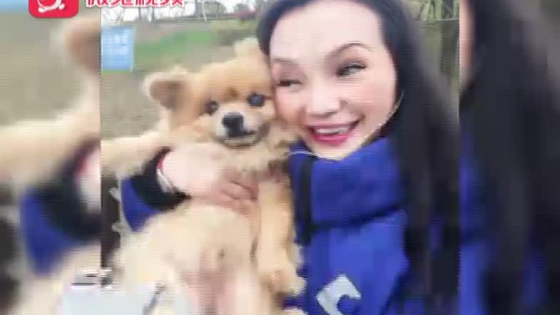 养了16年的爱犬被大狗撕咬十几分钟致死 大狗主人:她遛狗不拴 拒绝赔偿