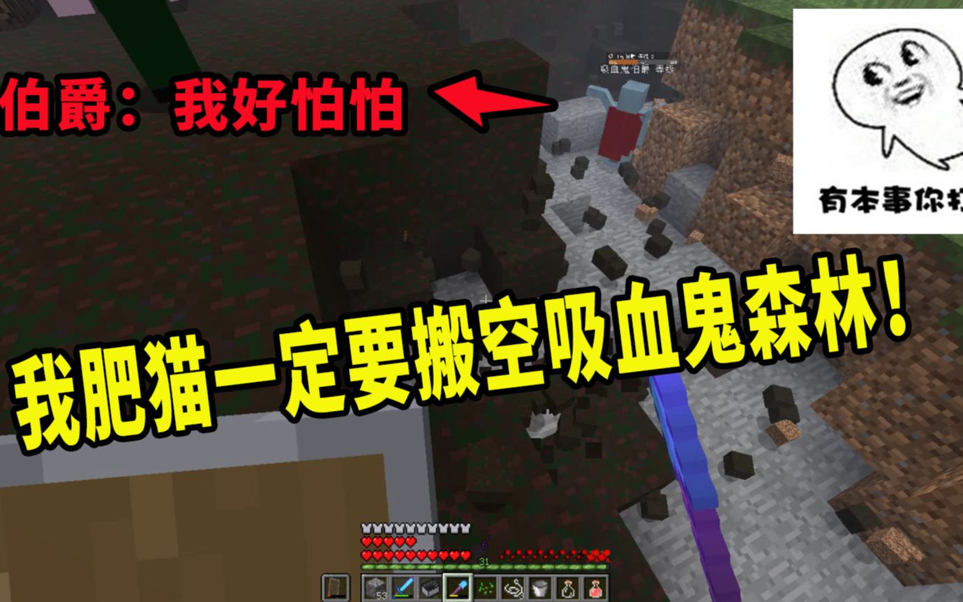 我的世界吸血鬼生存96:我要把吸血鬼森林铲除,石头给我泼冷水