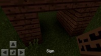 Thomas的我的世界手机版隐形门制作教程