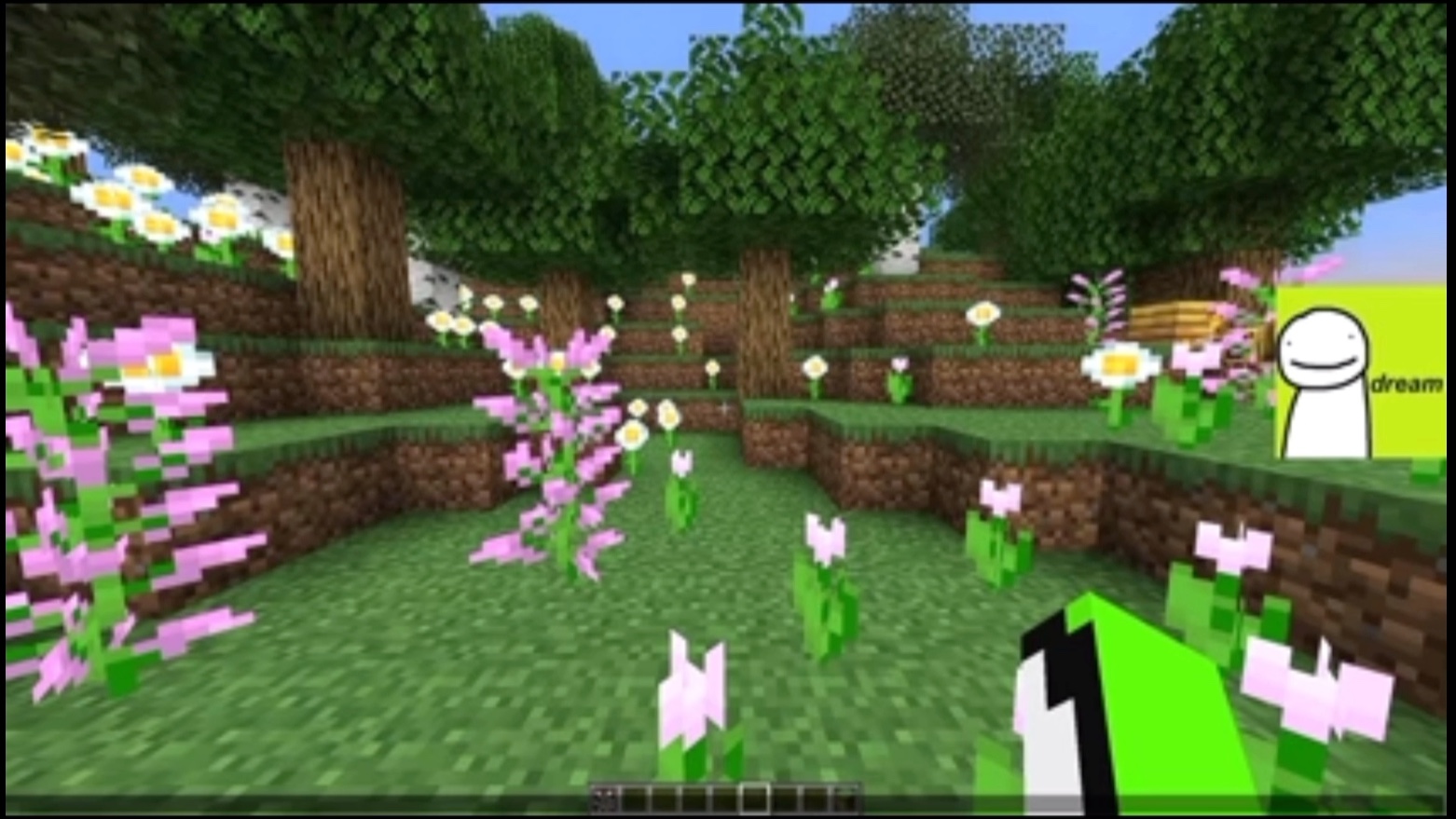 dream将sapnap赶出了自己的房间