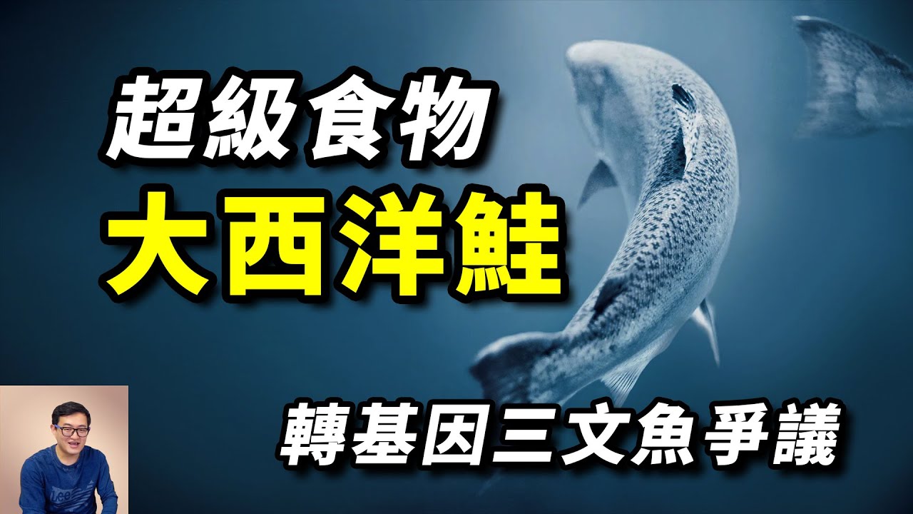 靠转基因获得强大特性,却引发诸多争议,“人造”大西洋鲑鱼会成为...