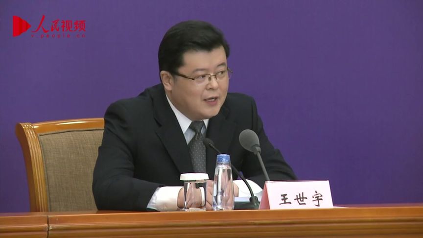 国家税务总局回应“减免租金”呼声:已推出减免房产税等激励措施