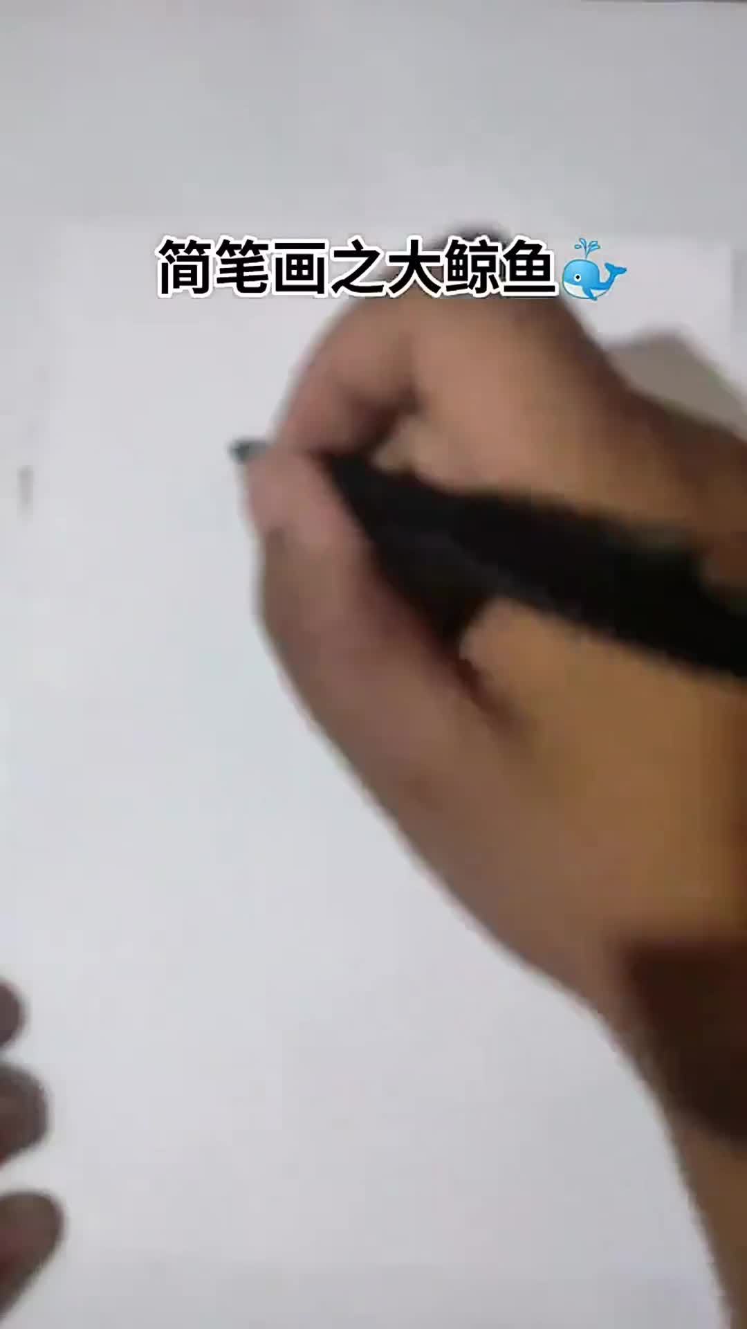 每日一画:大鲸鱼简笔画教程来袭!