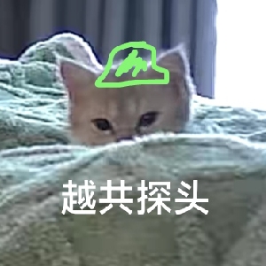 优雅的凝胶 