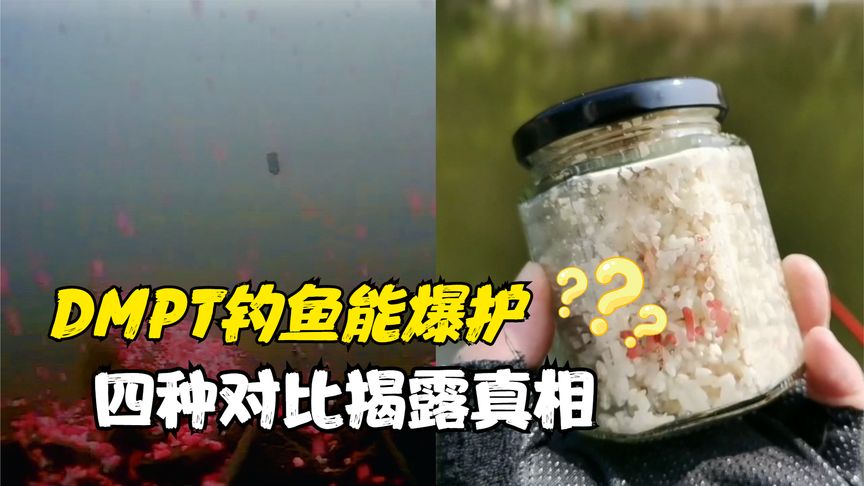 都说DMPT钓鱼能爆护,真有那么牛?四种方法还原真相,结果很明显