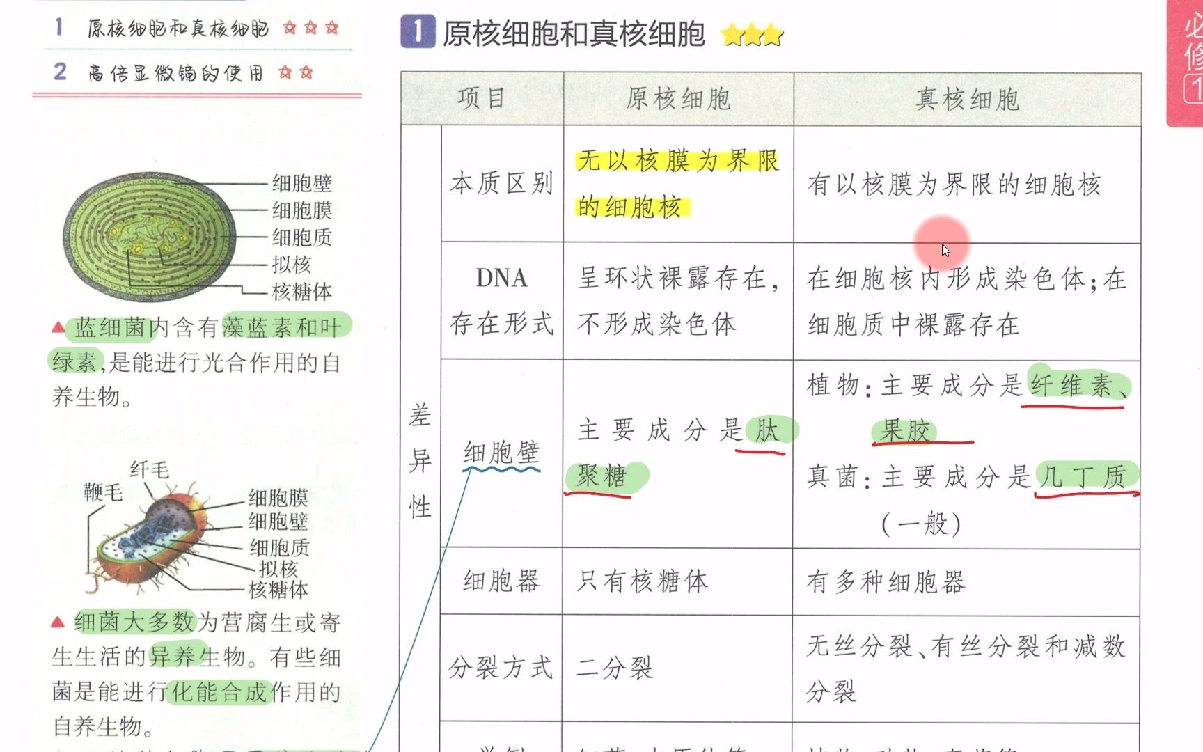 【2023生物必刷题】P11下---细胞的多样性和统一性(概念课)(显微镜,...