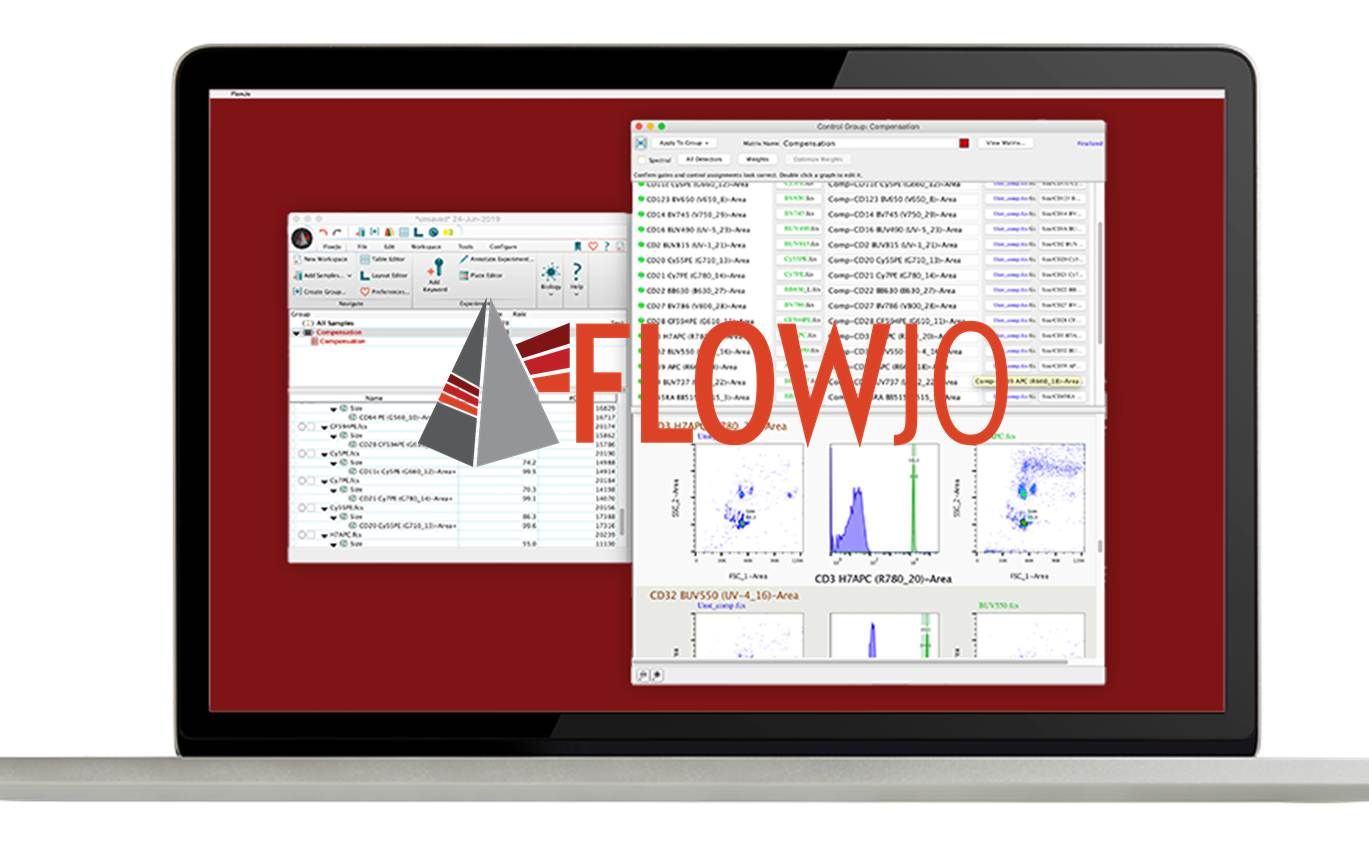 FlowJo初级教程