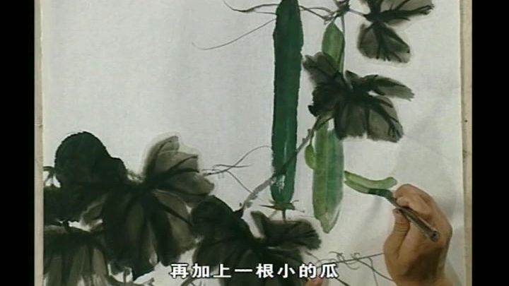 草质藤本植物的画法,丝瓜藤蔓纤细柔和