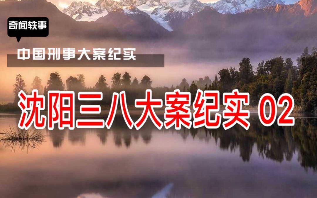 【大案纪实】沈阳三八大案侦破纪实 02