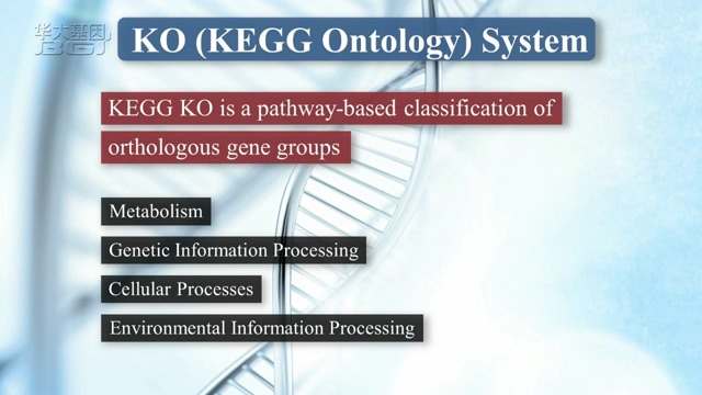 4.1 基因功能注释GO,KO,COG,PANTHERú⌐