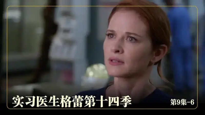 实习医生格蕾第十四季:急救风暴,生死瞬间!(103)