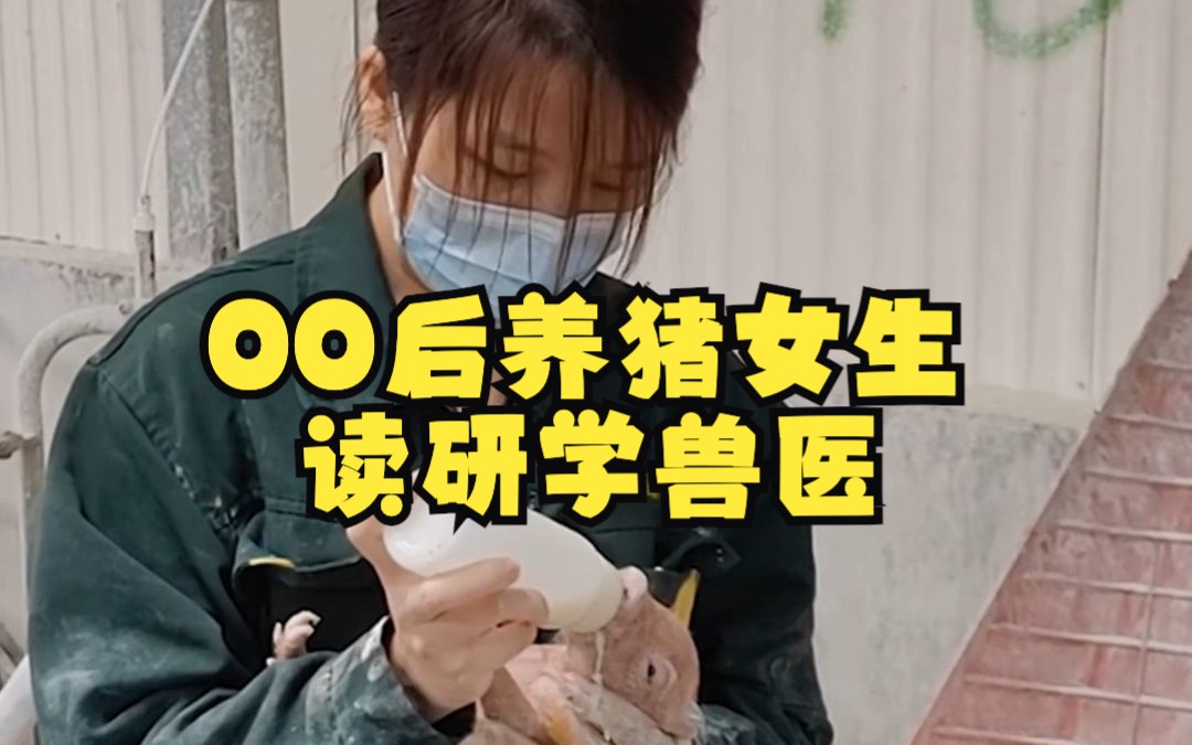 养猪女生读研学兽医!曾因养猪日志走红
