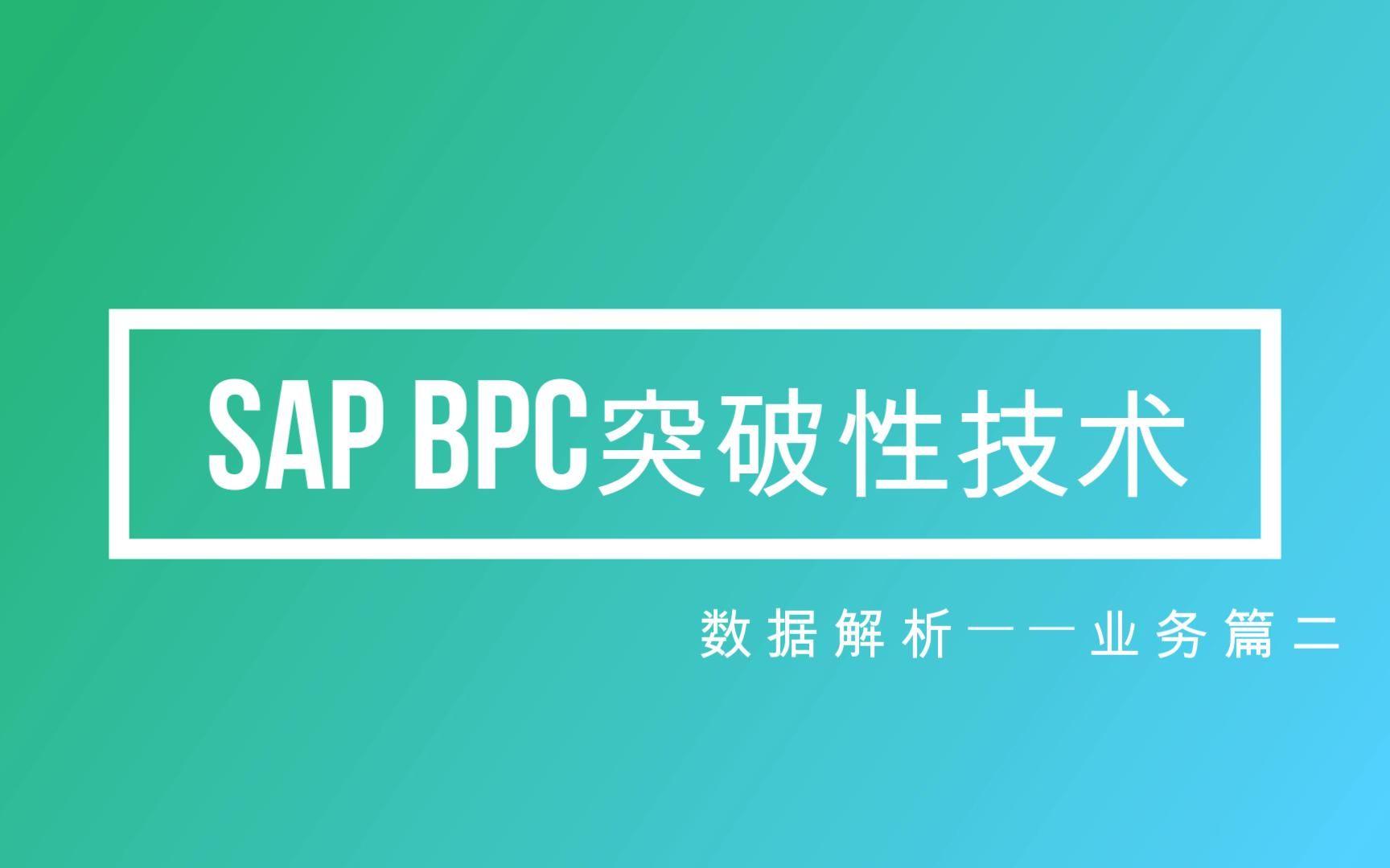 SAP BPC突破性技术——数据解析-业务篇二