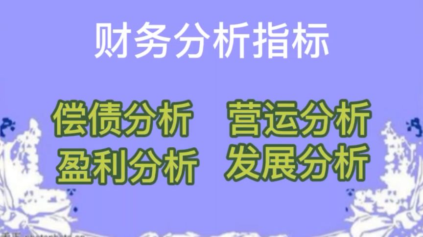 财务分析指标@西瓜创作研究中心