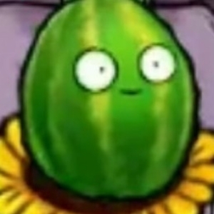 我事瓜瓜 