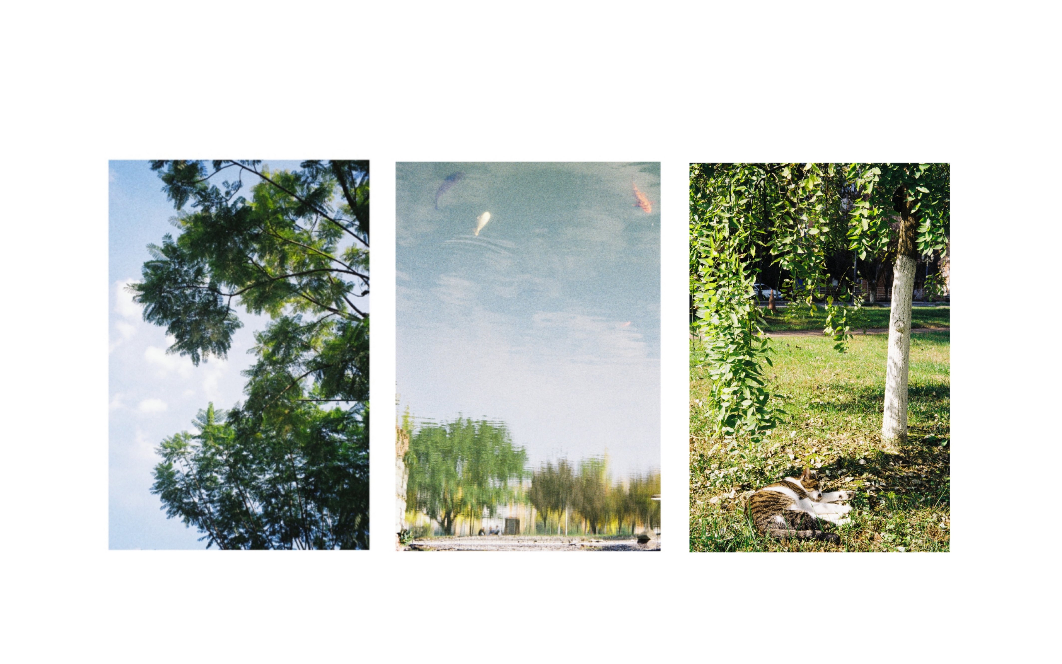 摄影集|定格在胶片的画面瞬间