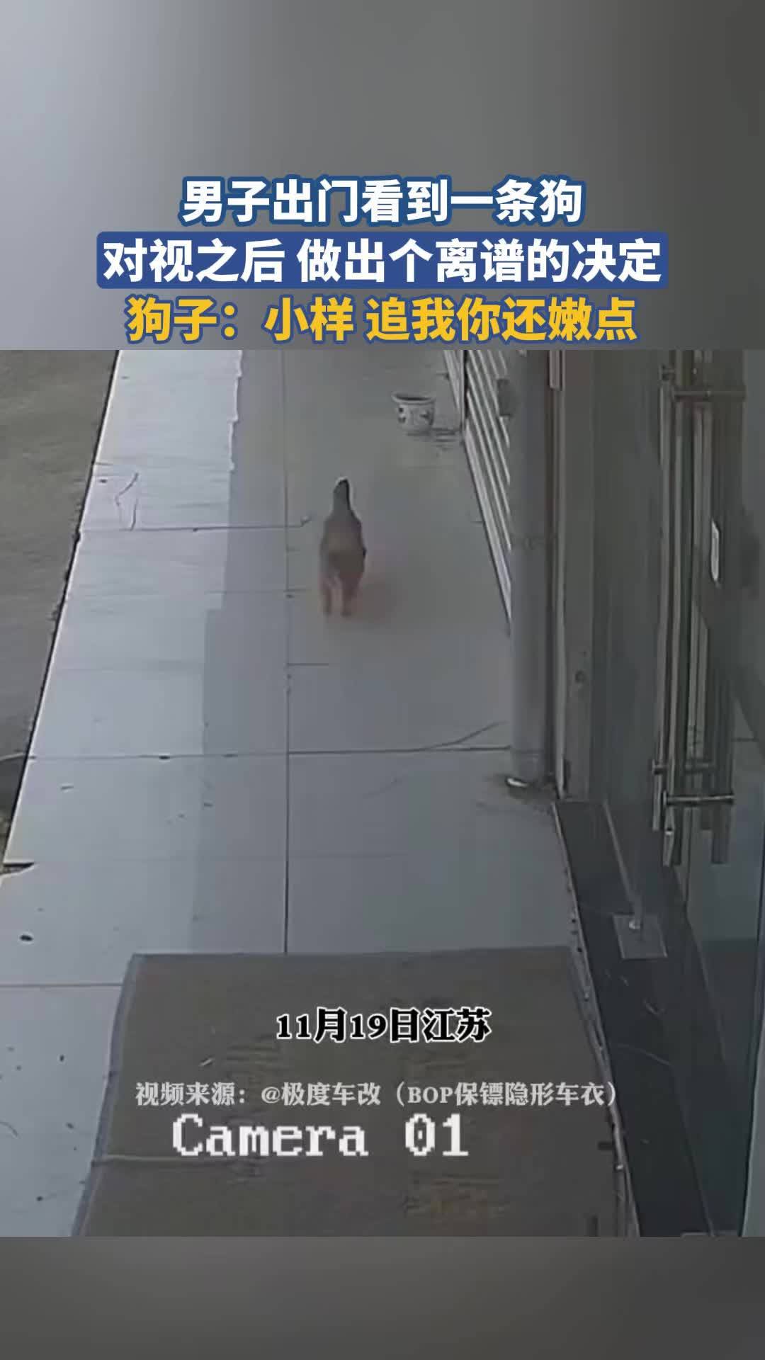 男子出门看到一条狗,对视之后 做出个离谱的决定