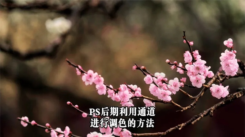 PS后期利用通道进行调色的方法