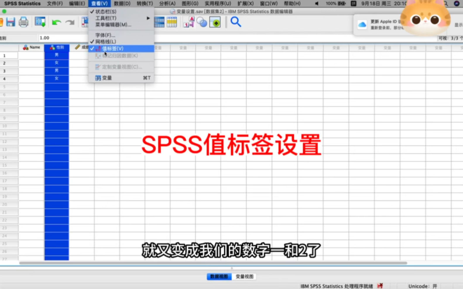 SPSS数据编辑——值标签设置