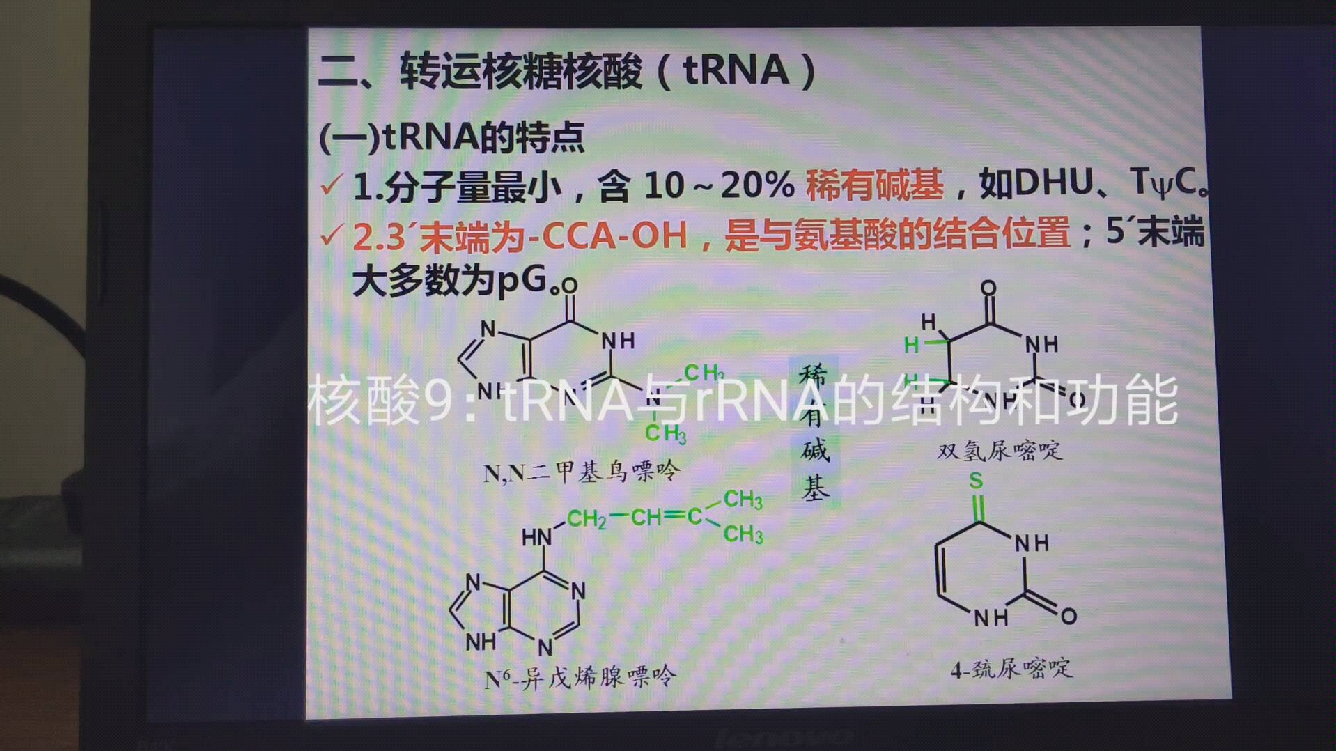 核酸9:tRNA与rRNA的结构和功能