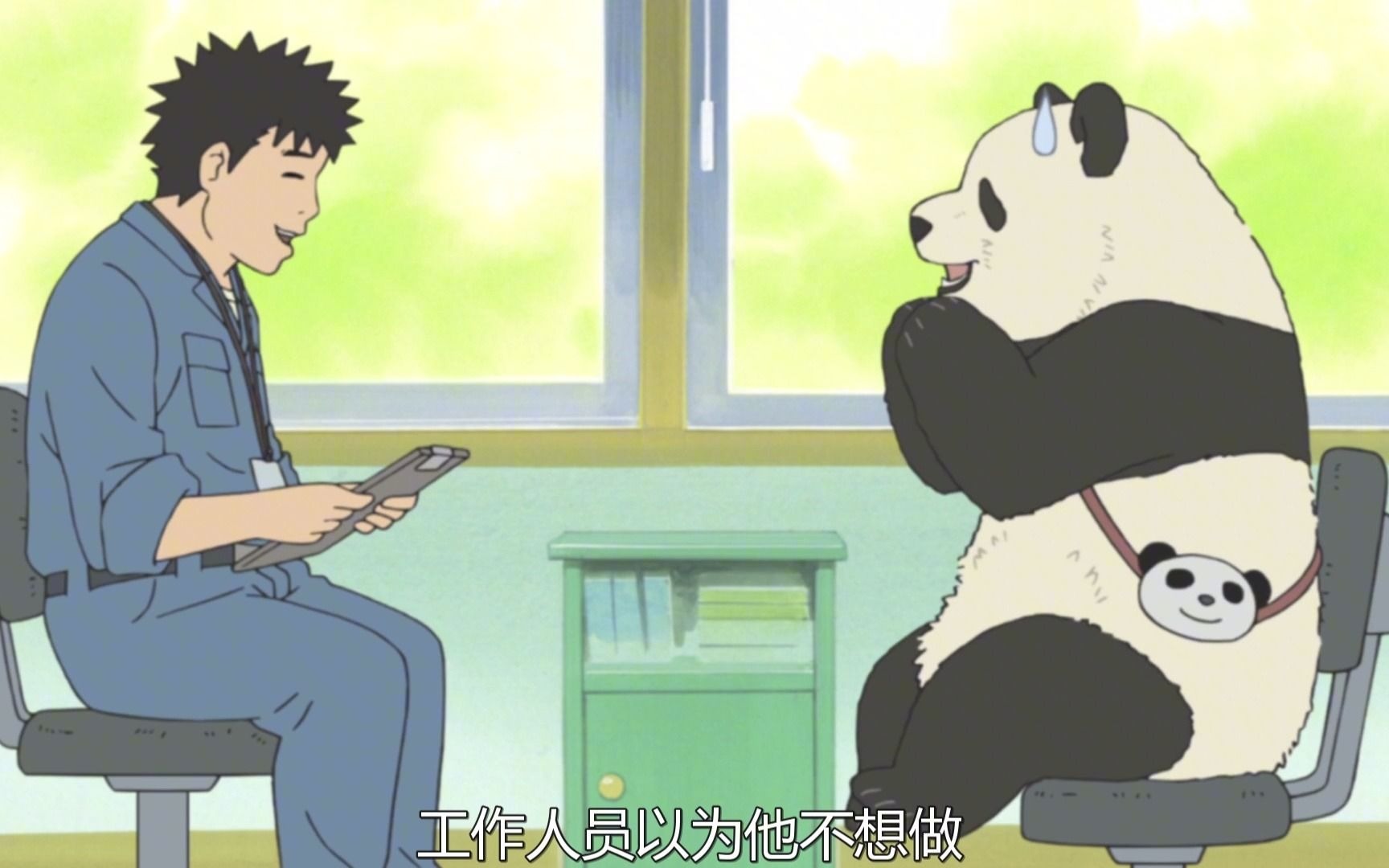 熊猫在动物园找到了一份卖萌的工作,治愈搞笑动画《白熊咖啡厅》