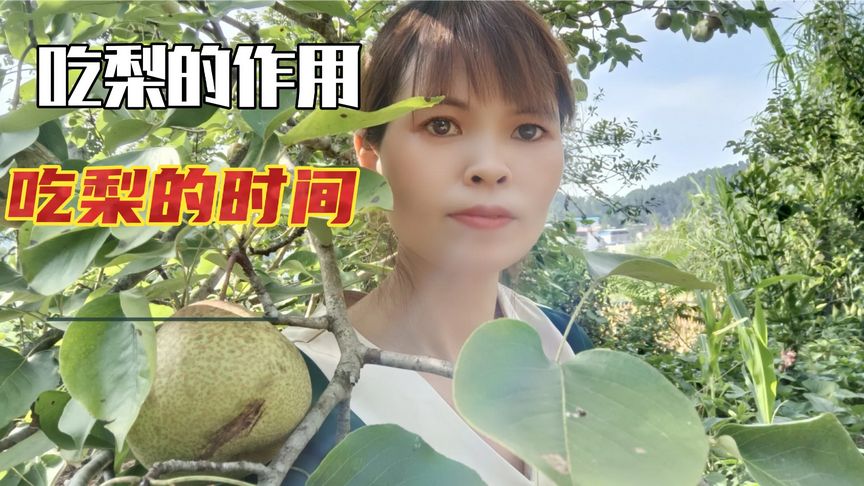 心锁分享梨子的作用,吃梨的时间,友友们是这样的吗?