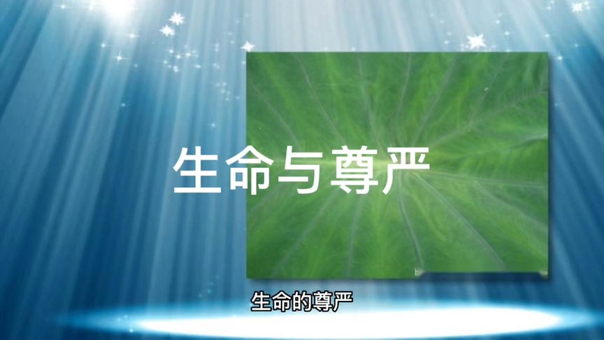 当今的社会环境 你做到了尊重普通人吗?