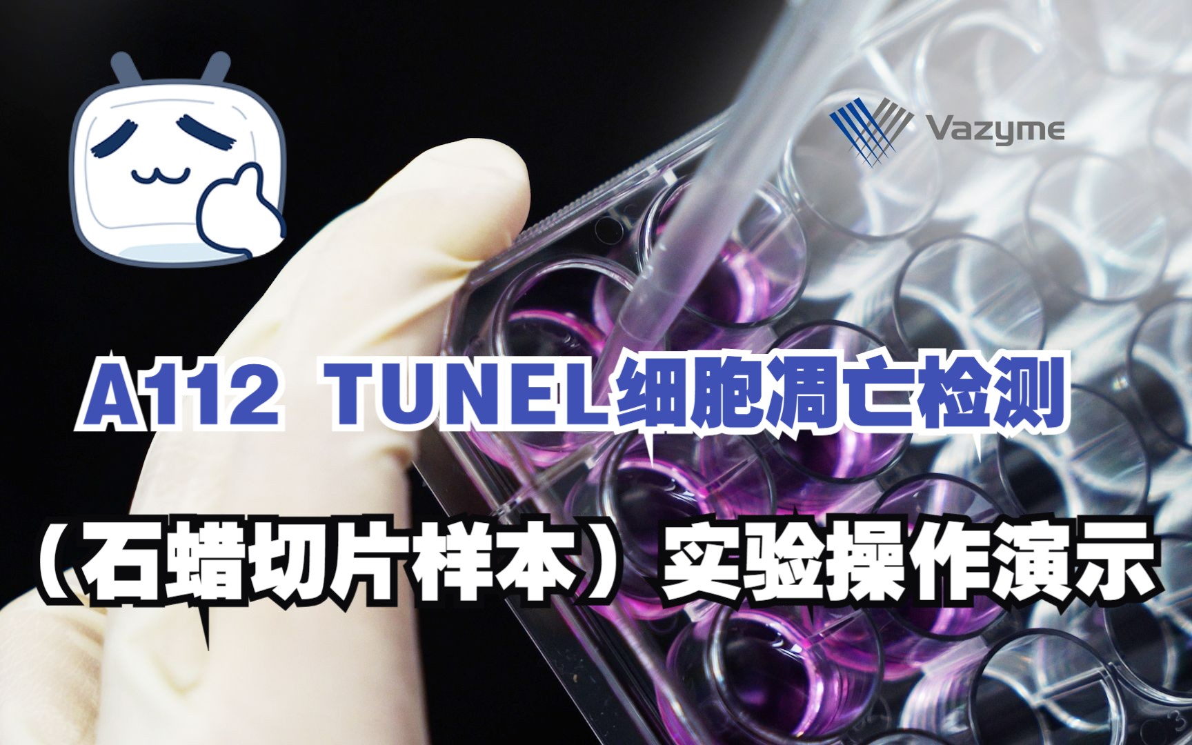 A112 TUNEL细胞凋亡检测(石蜡切片样本)实验操作演示