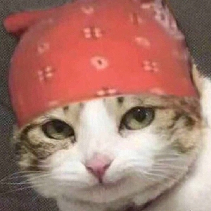 甜到掉牙的甜狗 