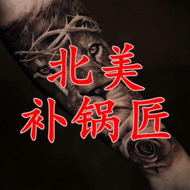 北美补锅匠 