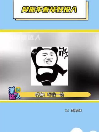 许昕真是太全面了!#樊振东 #许昕 #国乒