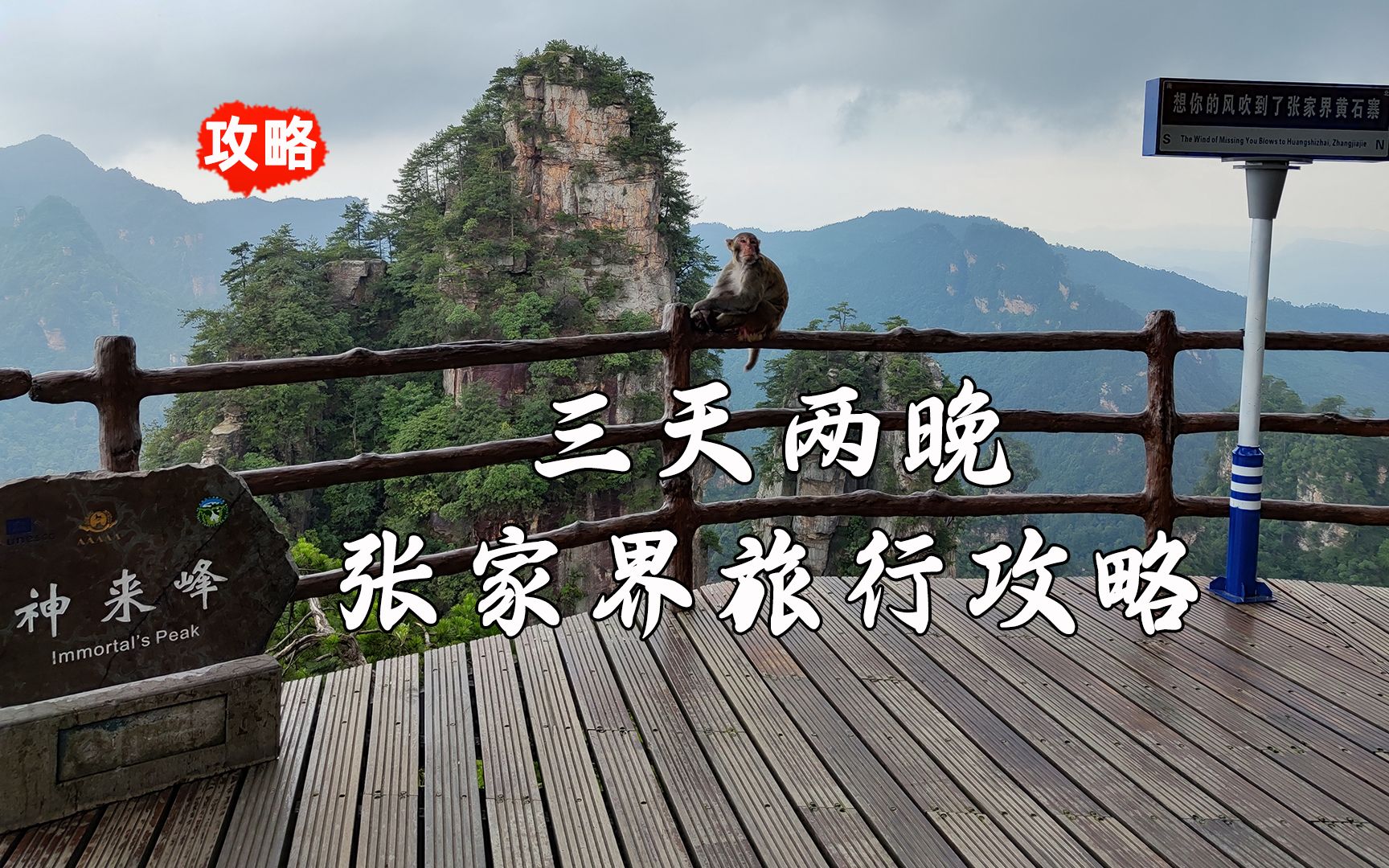 长沙到张家界,三天两晚自由行旅游攻略,天门山武陵源一人行攻略,附带...