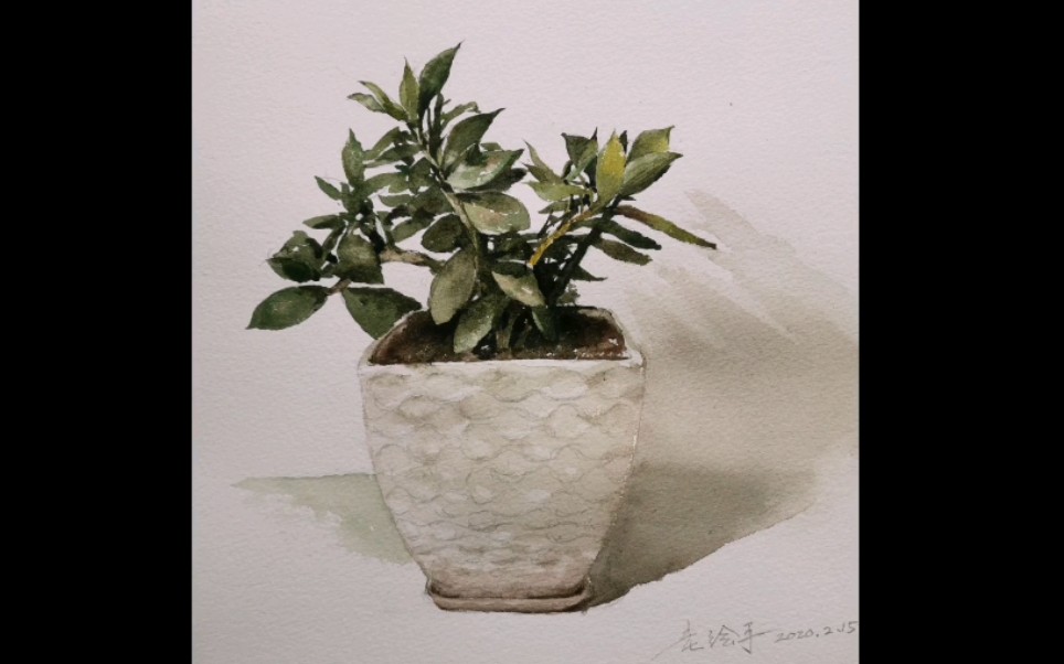 水彩画入门教程《盆栽》之一,张劲松老师(老绘手)