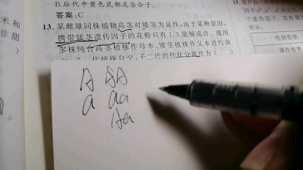 三分钟学会-花粉致死型遗传题-课本内容1