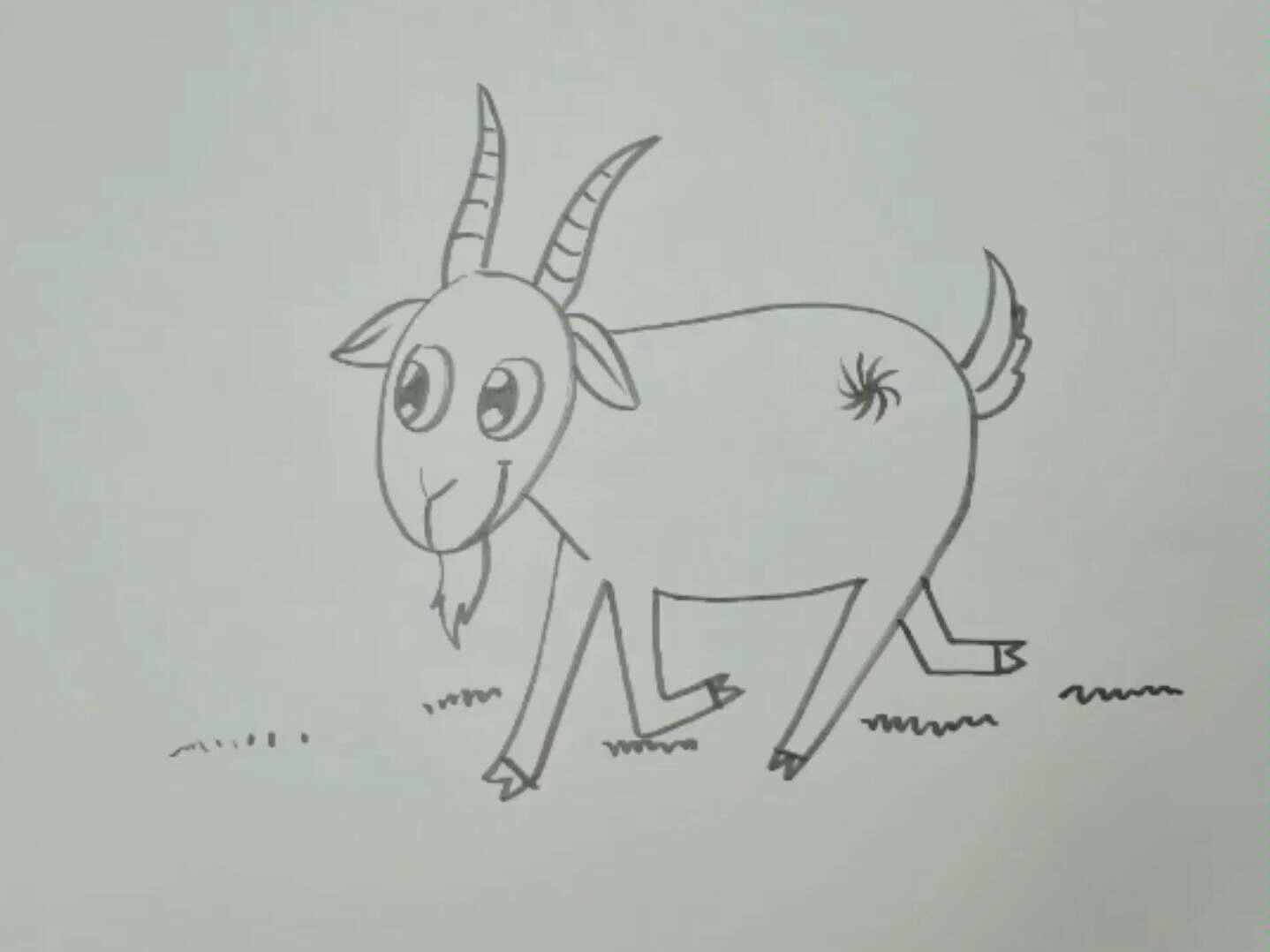 简笔画小山羊,一起画简笔画吧,轻松美,简单学