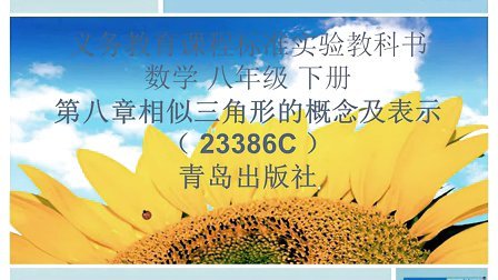 青岛出版社63制初中数学八年级下第八章相似三角形的概念及表示