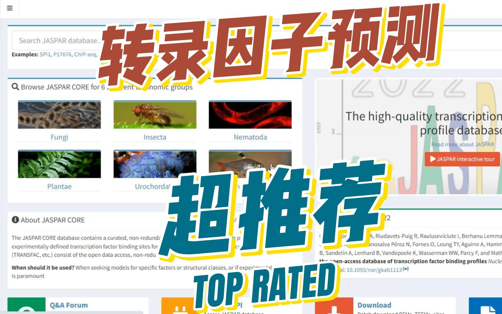 【转录因子预测】四个预测网站,海量基因任你选