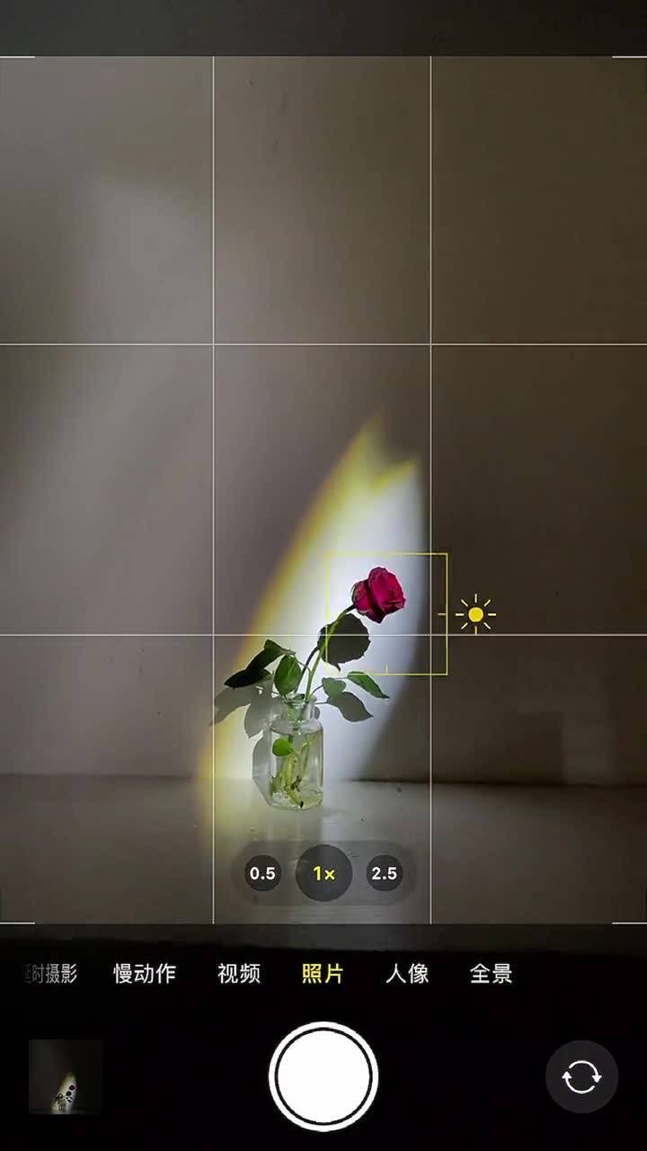 微距世界,细微之美,发现隐秘角落