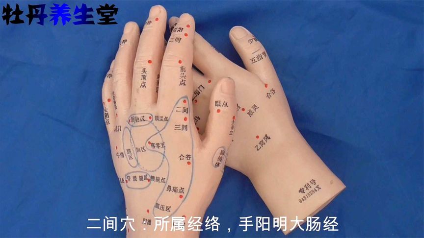 二间穴主治:喉痹,颔肿,肩背痛,振寒,鼻鼽衄血,多惊,齿痛