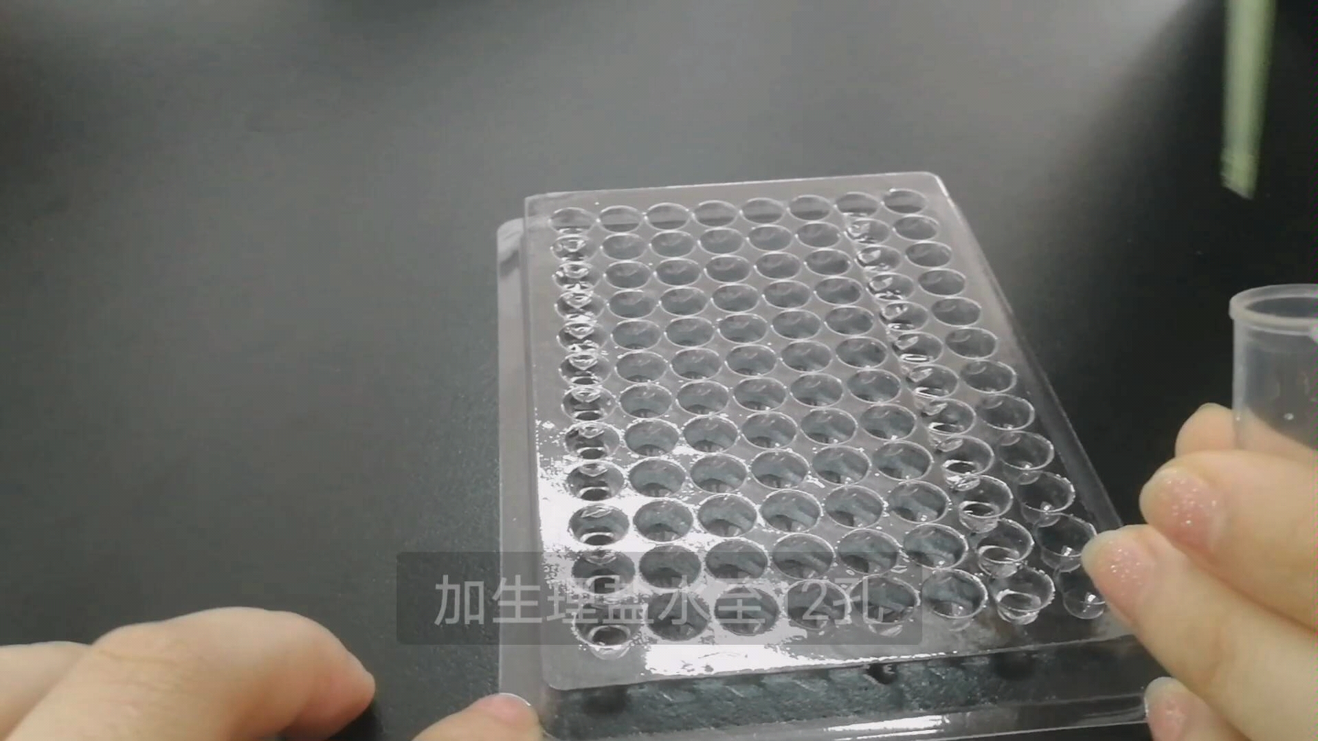 血凝实验