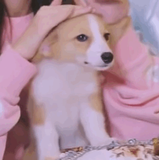 反射弧可绕地球三圈呢 