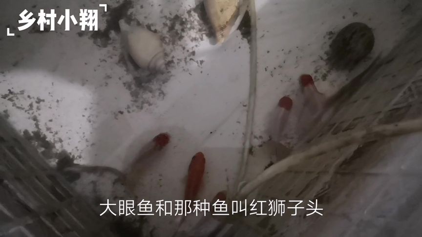 小伙和他爸,制作了一个鱼缸过滤器,过过滤,看看做的怎么样吧