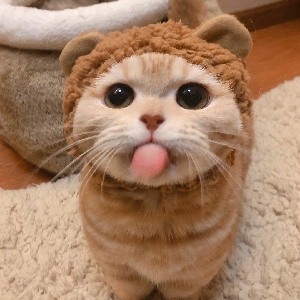 线椒好辣 
