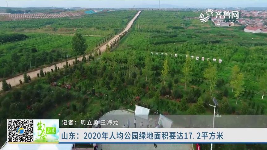 山东省即将开展城市增绿攻坚行动,多措并举,实现城市绿化全覆盖