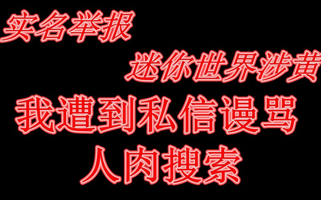 实名举报迷你世界以后 我被“人肉”了