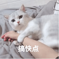 显眼包小刘的服务日记 