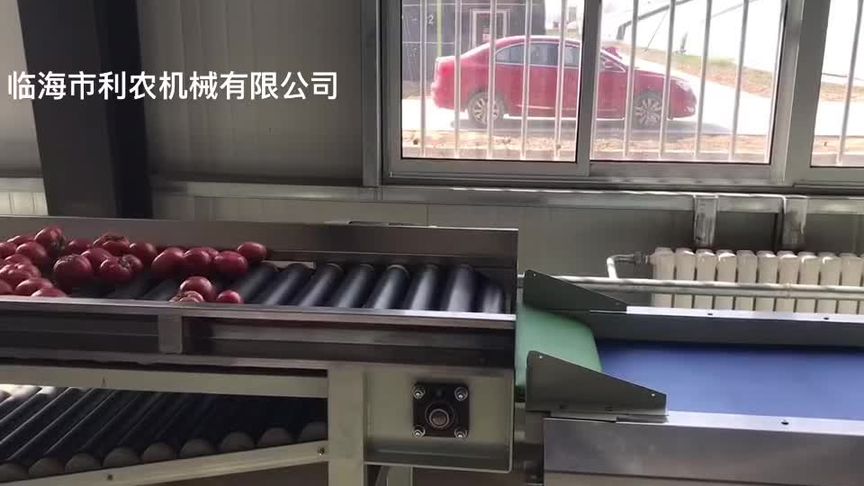 番茄重量分级机,无损伤,误差正负2克#番茄分级机#西红柿分选机