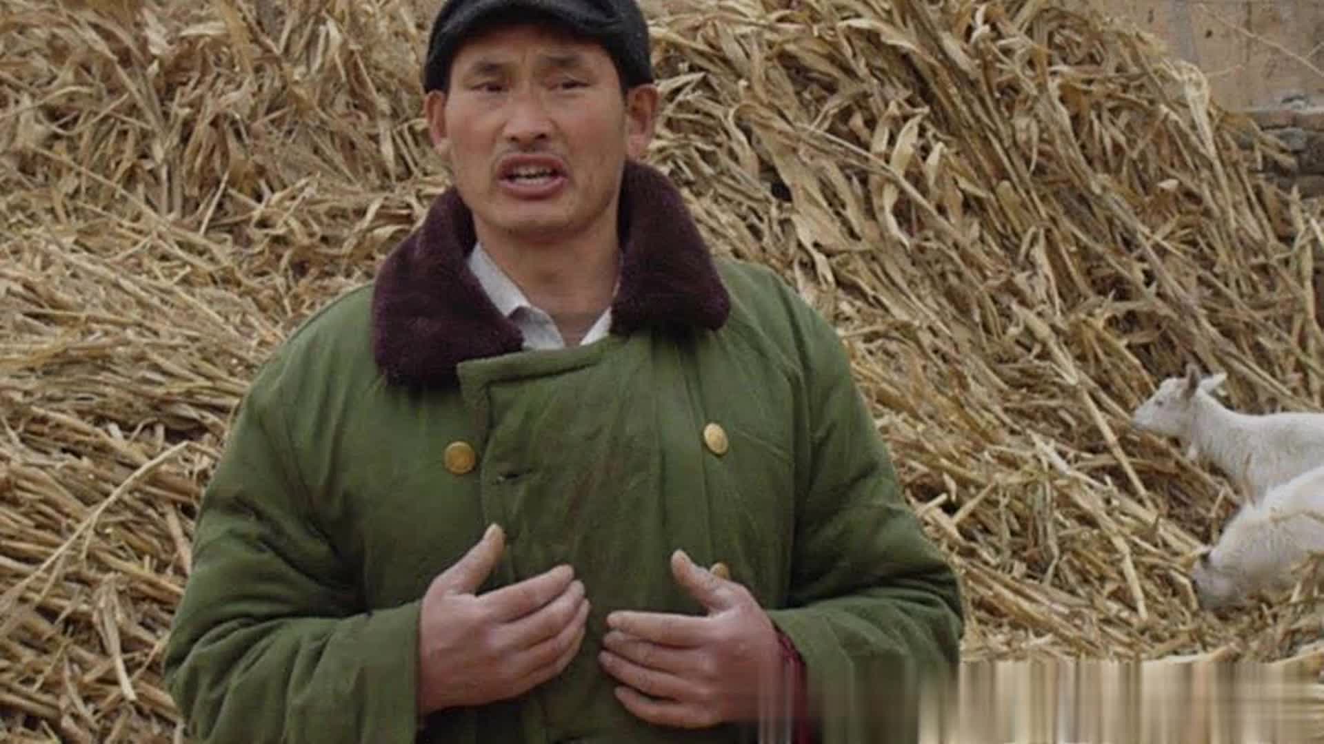 张晓磊举报大衣哥朱之文赚1.5亿后偷税漏税,税务局回应了